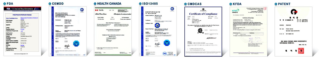 Digital Pulse Analyzer | Overview of Digital Pulse Analyzer